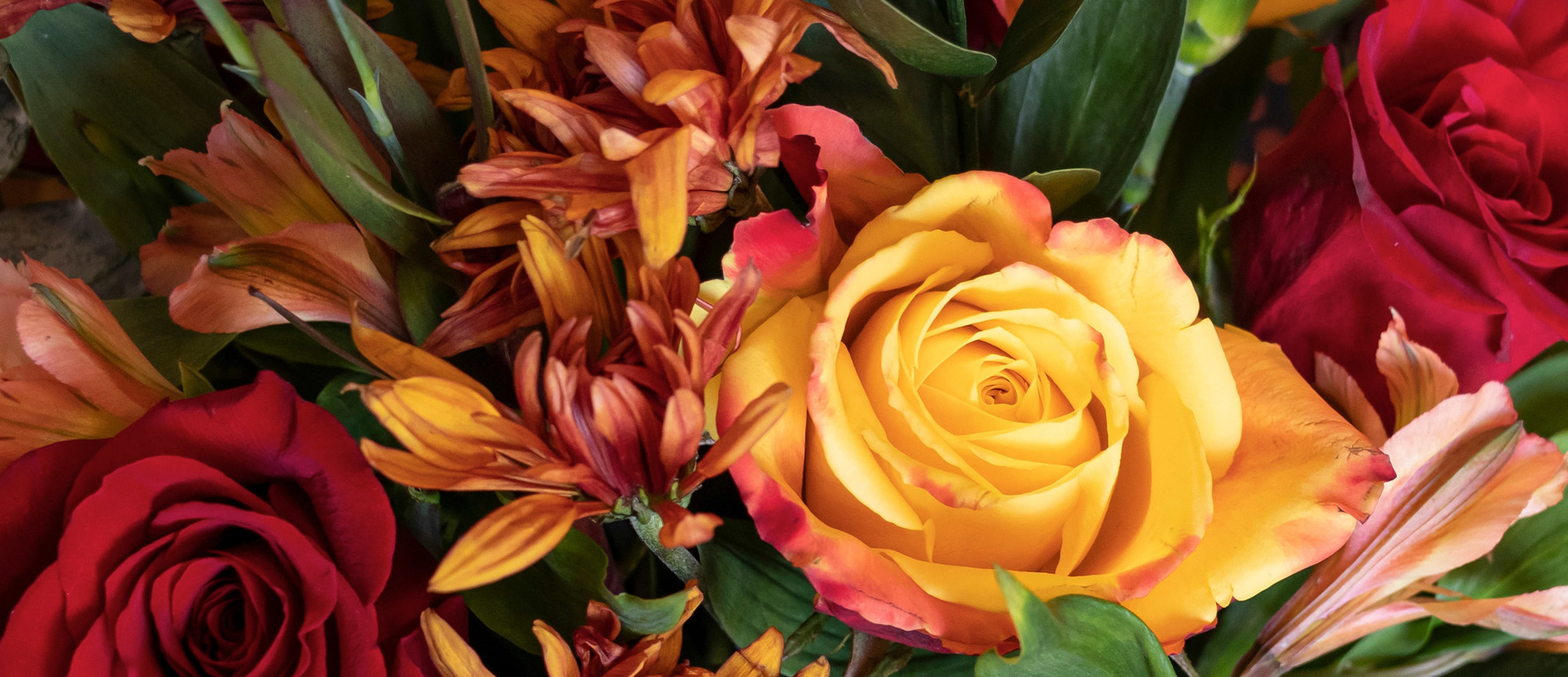 Same-Day Indianapolis Flower Delivery | McNamara Florist