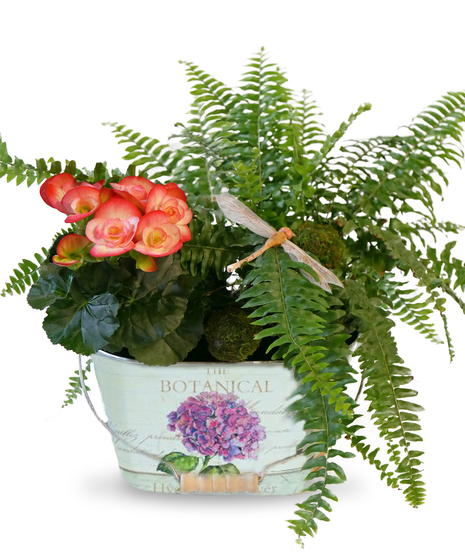 Indianapolis Summer Flowers | McNamara Florist IN | Same-Day Delivery