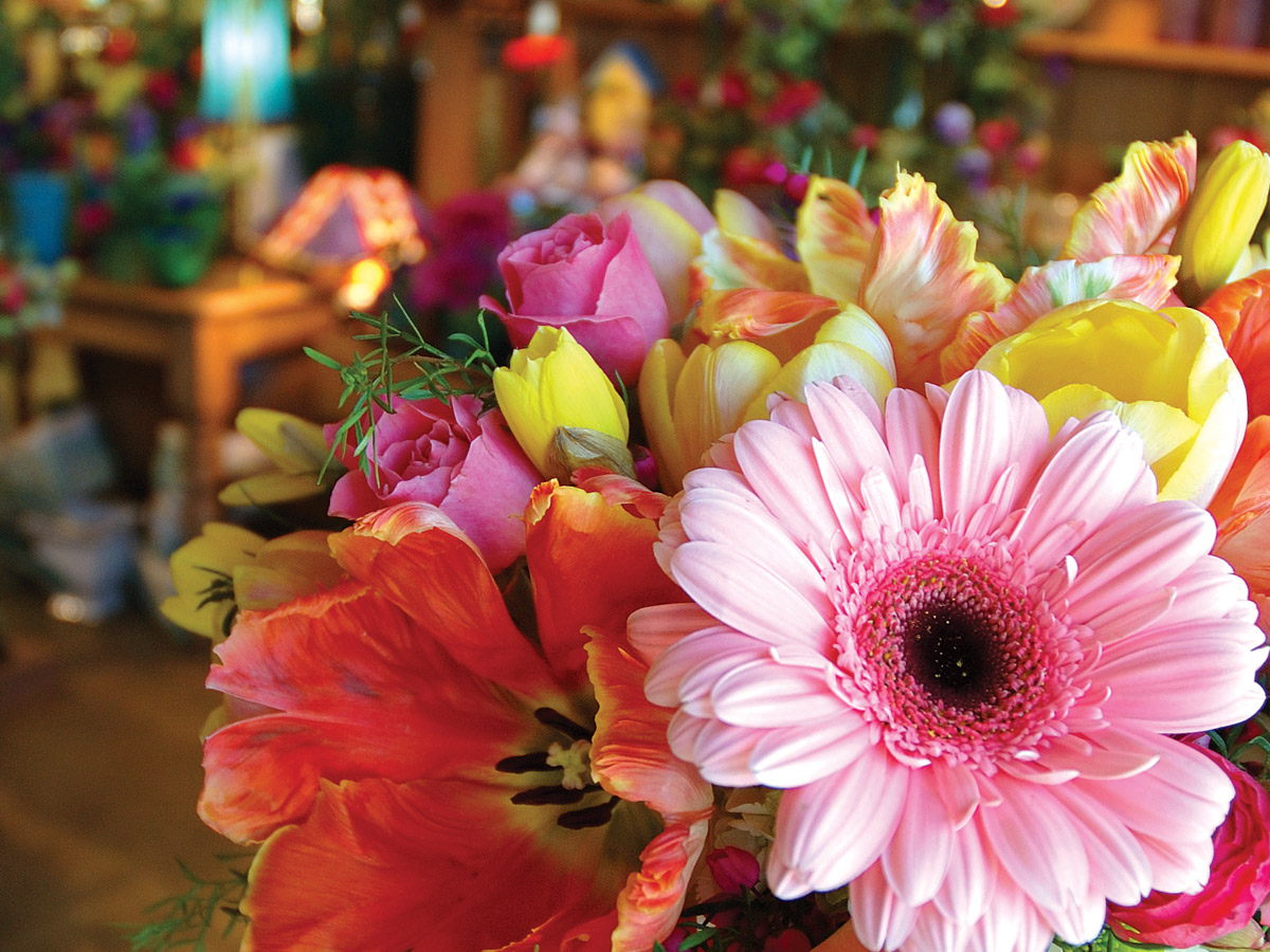 McNamara Florist Hours & Address | 8 Flower Shop Locations Near ...